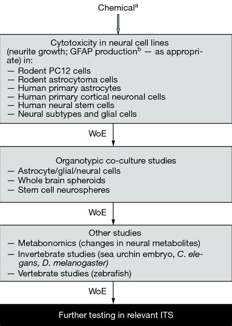 A Suggested Integrated Testing Strategy For Neurotoxicity See Text For