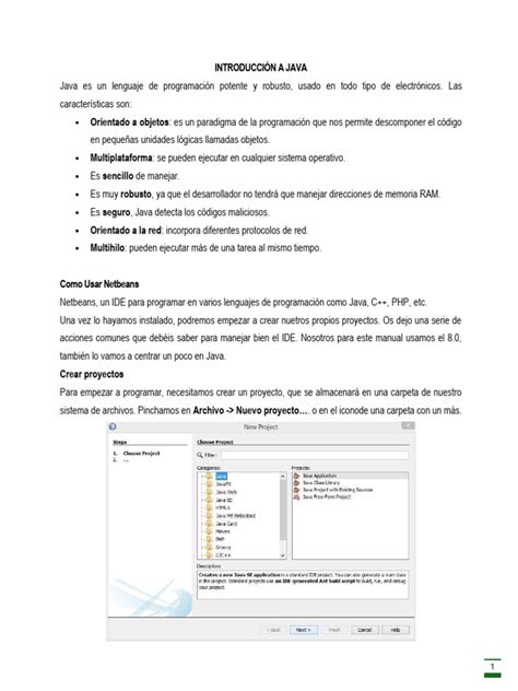 Guía De Java Y Netbeans Para Principiantes Pdf Java Lenguaje De