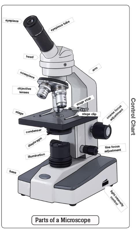 Montessori Materials Parts Of A Microscope Puzzle