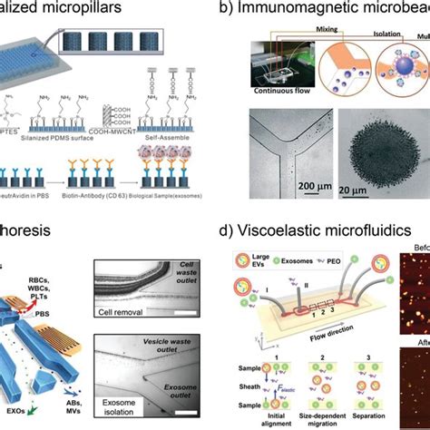 Microfluidic Manipulation Of Exosomes A Immunoaffinity Isolation Of