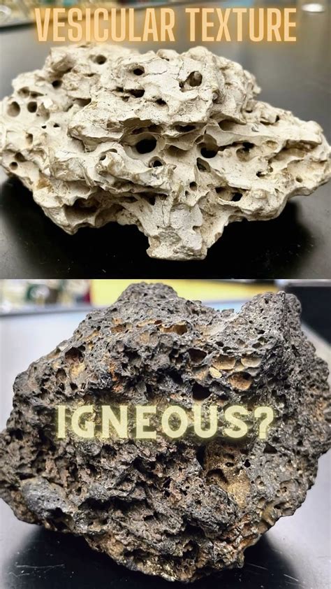 Vesicular Texture