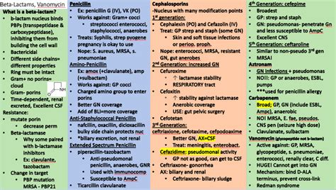 6 Beta Lactam Intro And Vancomycin Diagram Quizlet