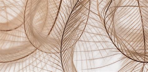 Maud Ruby Plumassière Collection Latil