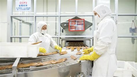 Prefabricated Vegetable Industrywhat Are The Domestic And Foreign