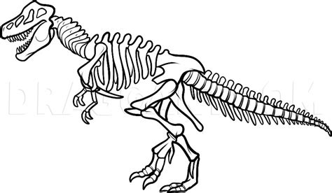 How To Draw A Dinosaur Skeleton Dinosaur Skeleton Drawing Step By Step By Dawn Dragoart