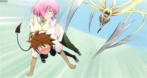 Yuuki Rito Wiki Anime Amino