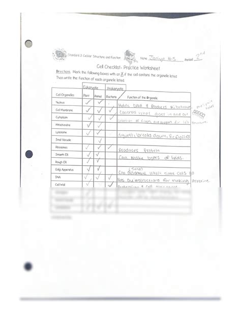 Solution Cell Checklist Practice Worksheet Studypool