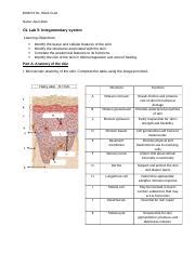 Online Labs Week Integumentary System Lab Docx BIOS OL Week Lab Name April Allen OL