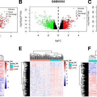 Volcano Map And Heat Map Of Differentially Expressed Genes We Drew