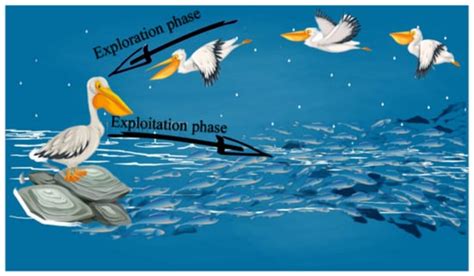 Enhancement Method Based On Multi Strategy Improved Pelican