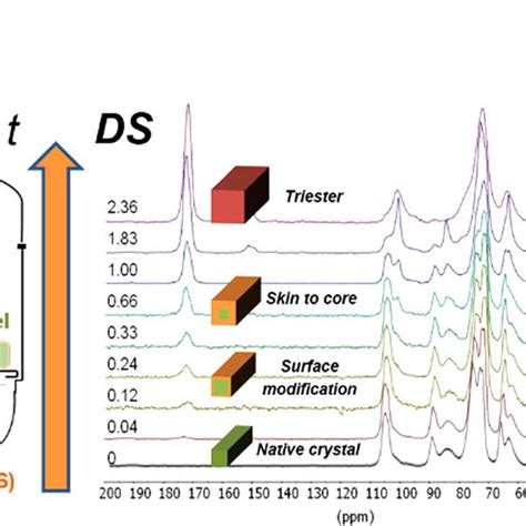 Schematic Representation Of The Propagation Of The Acylation Reaction