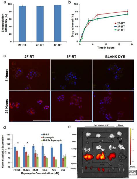 Intracellular Delivery Of Autophagy Inducer By Cspns A Encapsulation