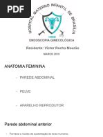 Anatomia Do Trato Genital Feminino Pdf Pélvis Morfologia Biologia