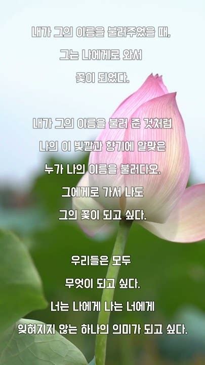 시김춘수꽃 Youtube