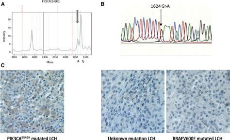 Detection Of Pik3ca E542k Mutation A Sequenom Download Scientific Diagram