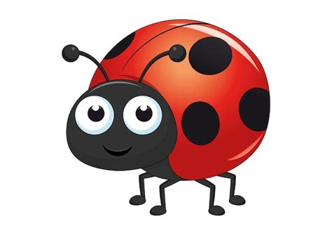 Illustration Vectorielle De Coccinelle Personnage Coccinelle De Dessin