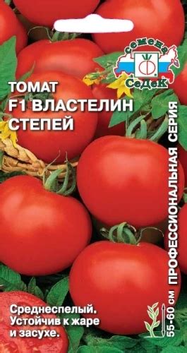 Томат Властелин степей: отзывы, фото, урожайность, описание и ...