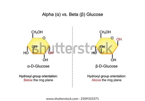 Alpha Versus Beta Glucose Stereoisomers Chemical Stock Vector Royalty Free 2509333371