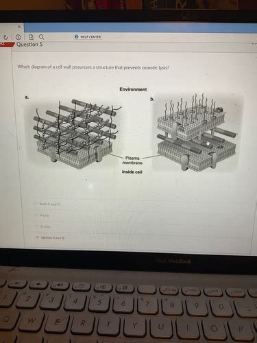 Biology Of Microorganisms Chapter One Flashcards Quizlet
