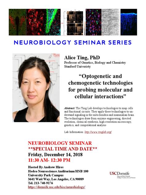 Seminar Flyer Alice Ting Pdf