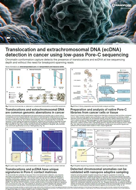 Translocation And Extrachromosomal Dna Ecdna Detection In Cancer
