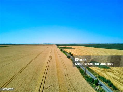Pemandangan Drone Udara Di Atas Jalan Dan Ladang Gandum Di Timis