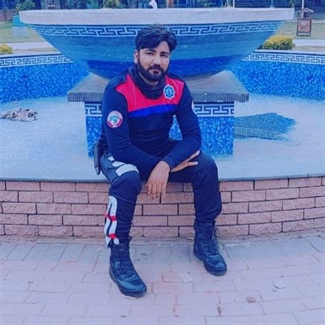 Dolphin Force Youtube