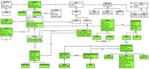 Representation Of Proteins In The Conceptual Schema Of The Genome The