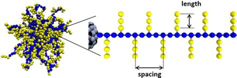 Effect Of Polymer Architecture On The Structure And Interactions Of Polymer Grafted Particles
