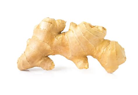 Foods That Increase Male Libido Std Gov Blog