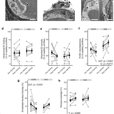 Assessment Of Morphologic Markers Of The Angiogenic Process Before And