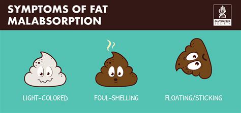 Does Gluten Cause Fat Malabsorption Gluten Free Society