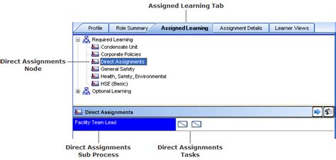 Directassignments Interpretview