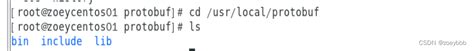 Linux下编译安装protobuflinux安装protobuf Csdn博客 Linux下编译安装protobuflinux安装protobuf Csdn博客