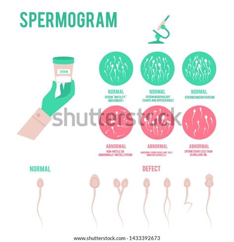 Spermogram Analysis Test Laboratory Medical Poster Stock Vector