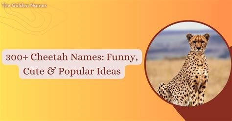 300 Cheetah Names Funny Cute And Popular Ideas