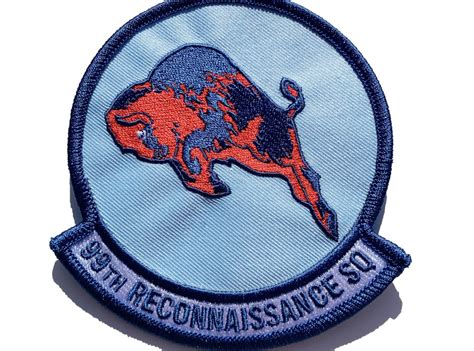 99th Reconnaissance Squadron Patch Sew On Squadron Nostalgia