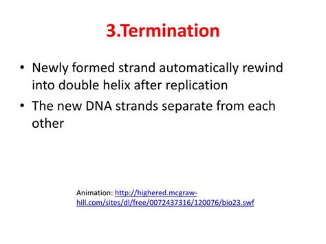Ppt 52 Dna Replication Powerpoint Presentation Free Download Id2534774