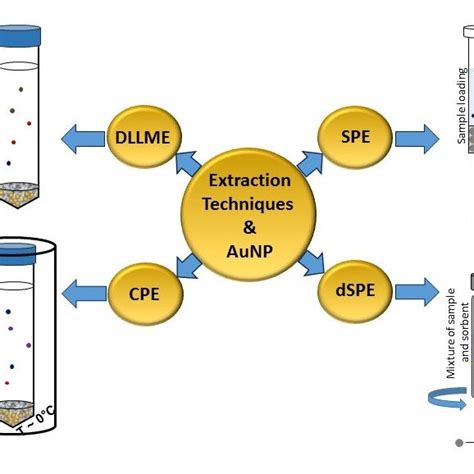 A Schematic Illustration Of Four Extraction Procedures Recommended For