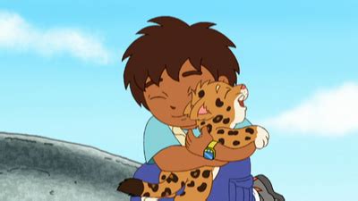 Watch Go Diego Go Season 1 Episode 18 Go Diego Go Diegos