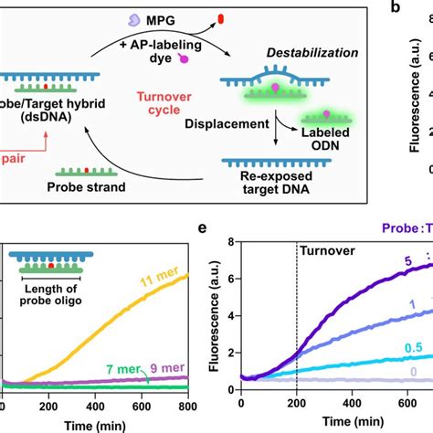Detection Of A Target Through Betr With Isothermal Turnover And Single