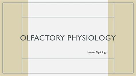 28 03 2025 Olfactory Physiology Human Physiologypptx
