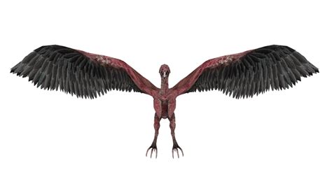 3d Model Pteranodon Turbosquid 1908481