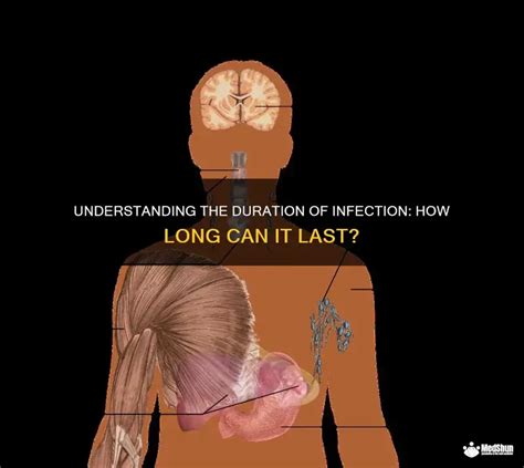Understanding The Duration Of Infection How Long Can It Last Medshun