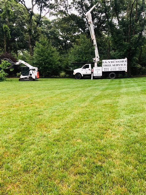 Gallery A Victor Tree And Landscaping Service