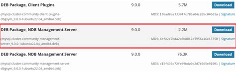 Mysql Ndb Cluster Configuration In Ubuntu 2204 Lts Step By Step Process Chirag Tutorial