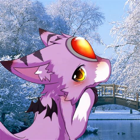 Dorumon View14331246 Facebook