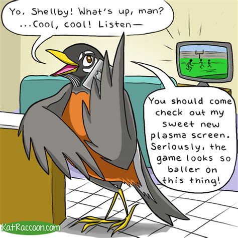 A Snails Pace Katraccoon Comics