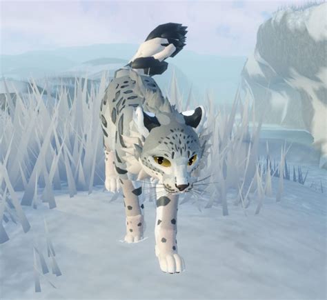 Snow Leopard Wcue Morph Кошачий дизайн Кот воитель Бумажные животные