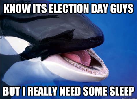 Orca Fail Whale Memes Quickmeme